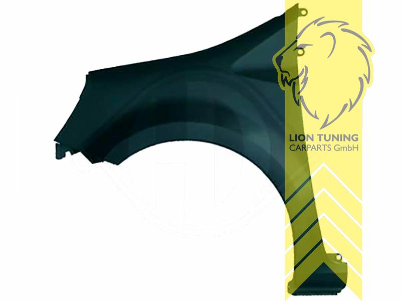 Liontuning - Tuningartikel für Ihr Auto | Kotflügel für Renault Modus ...